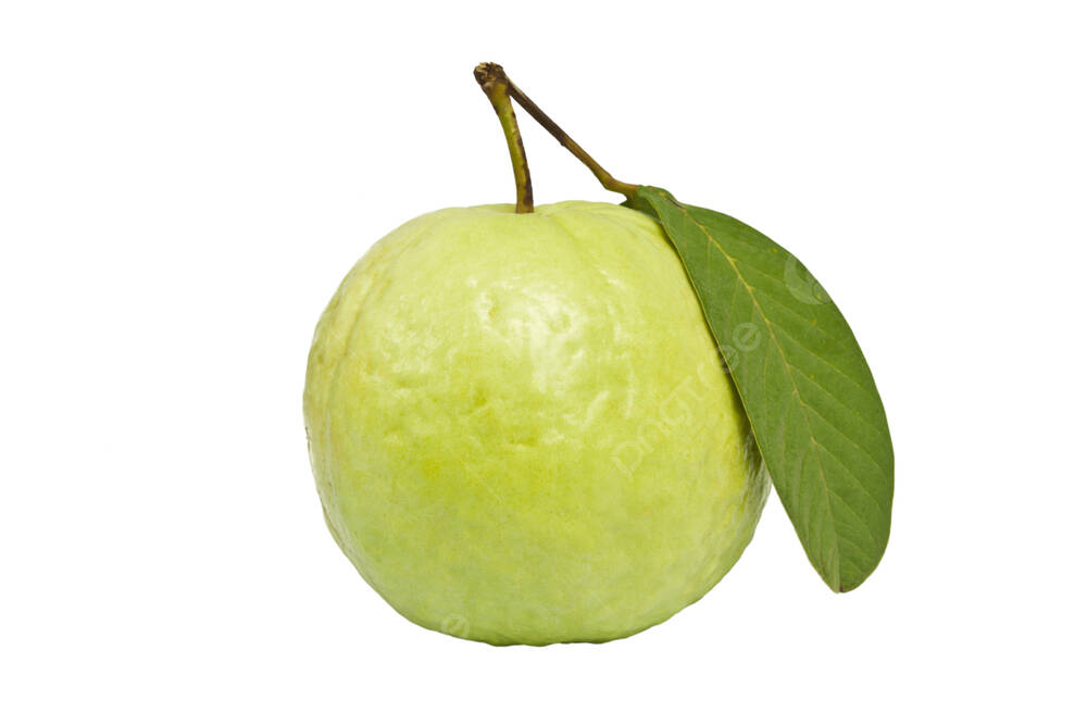 Fresh Vegetables :: Guava Peru - 500 gm